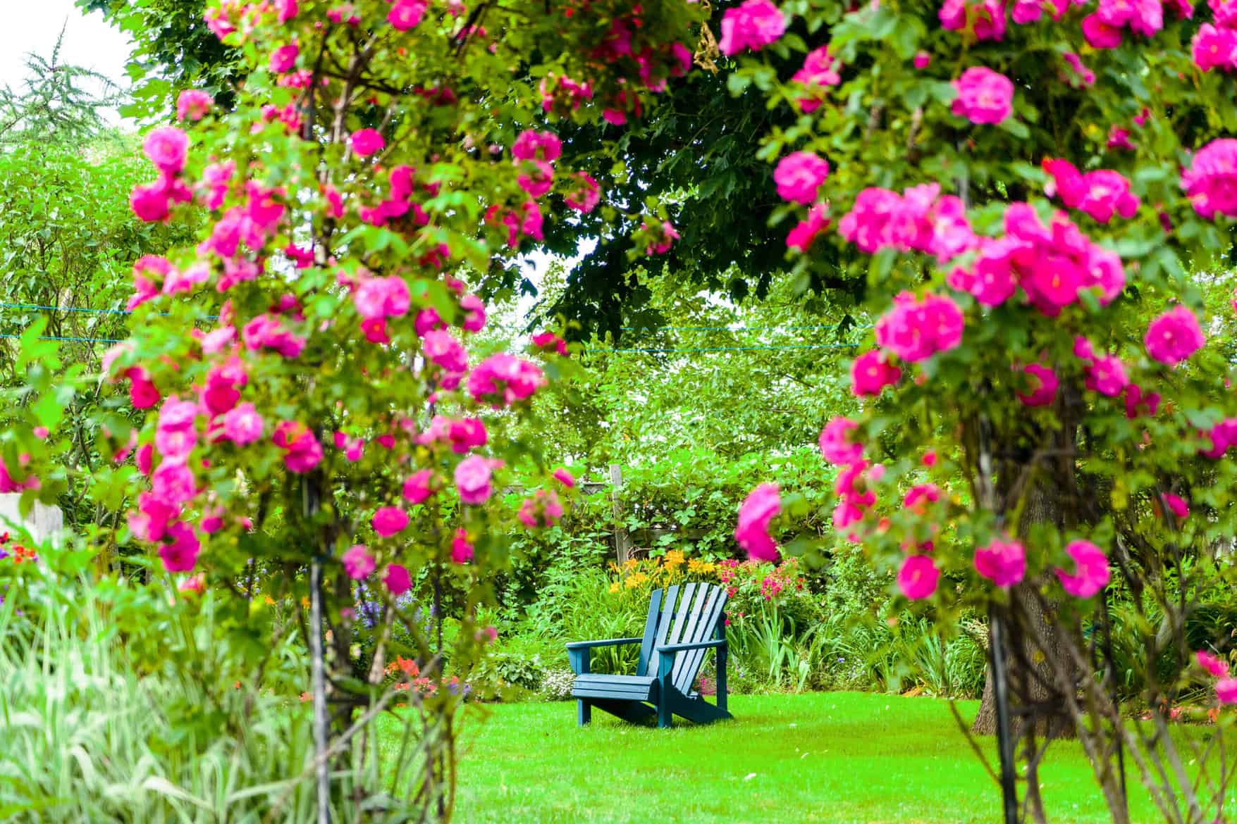 10 Badass Backyard ideas that won't leave you in debt for the next 6 years.